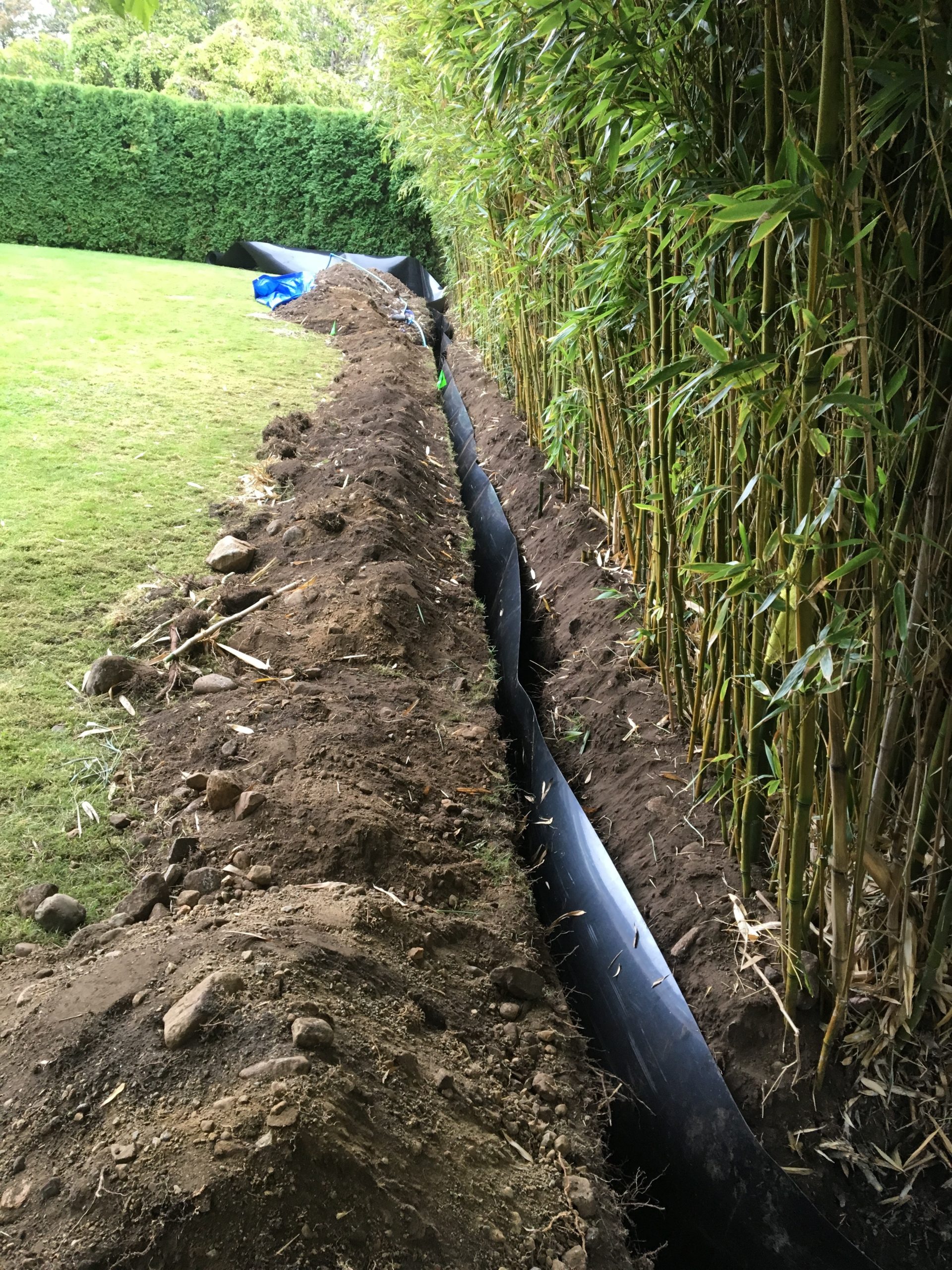 Elemental Hardscapes Bamboo Barrier Installation in Victoria BC ...